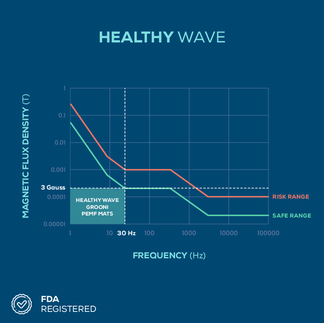Revitalize Anywhere with Our Mini PEMF Infrared Therapy Mat